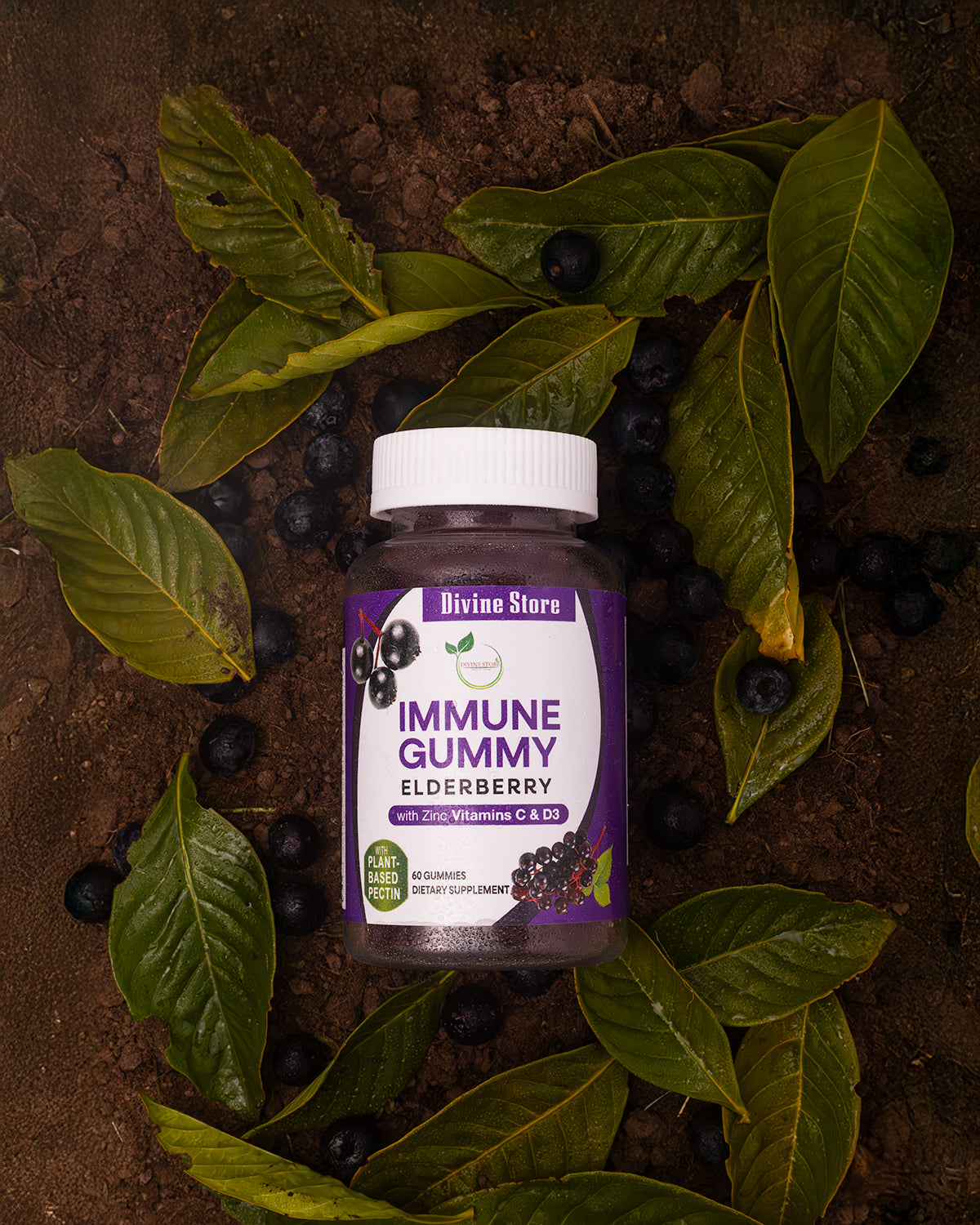 Elderberry Gummy Supplements | Immune Support Gummies AU – Divine Store